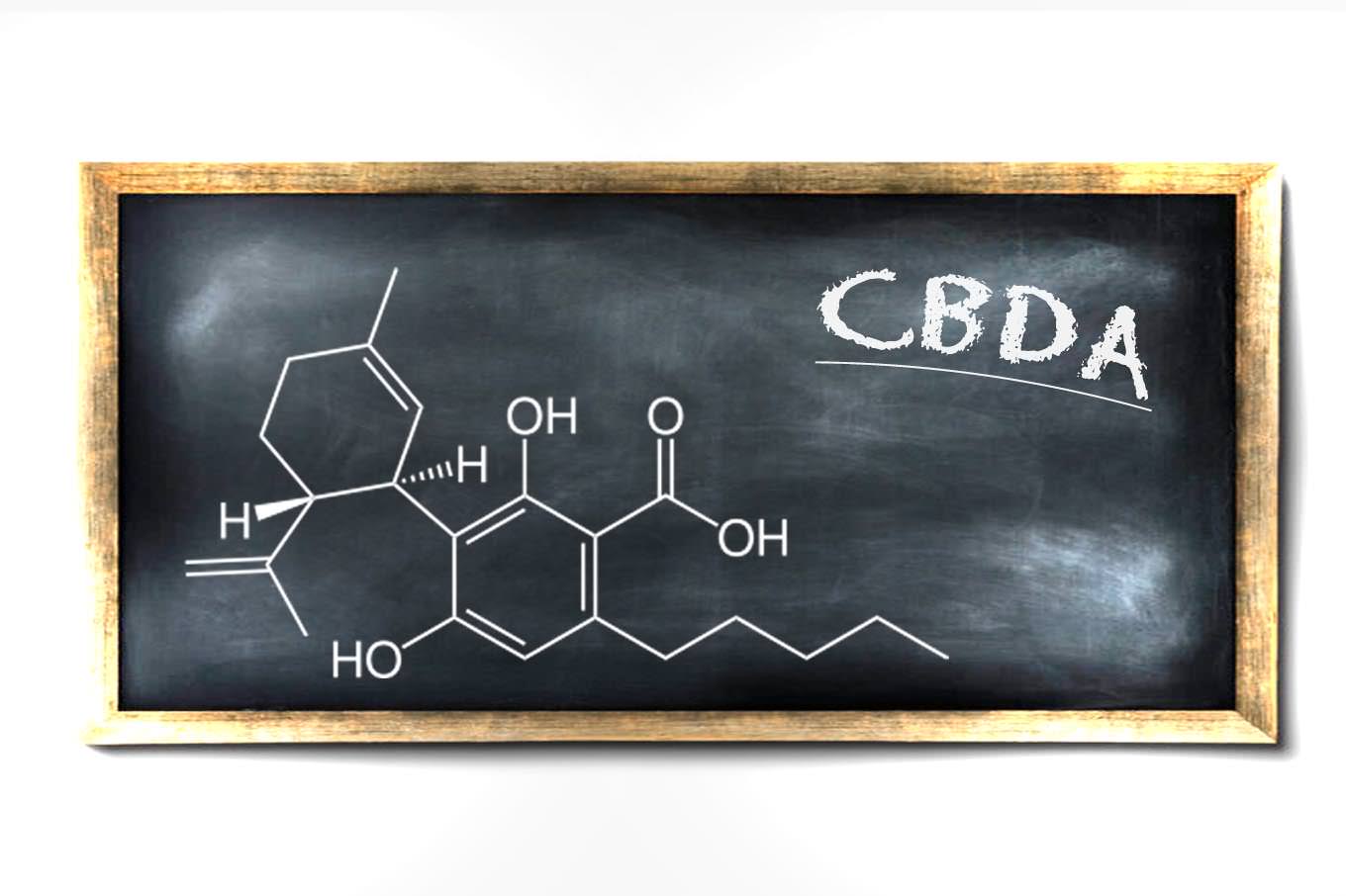 Rolling through the Cannabinoids: What Is CBD-A and Why Do You Care To ...